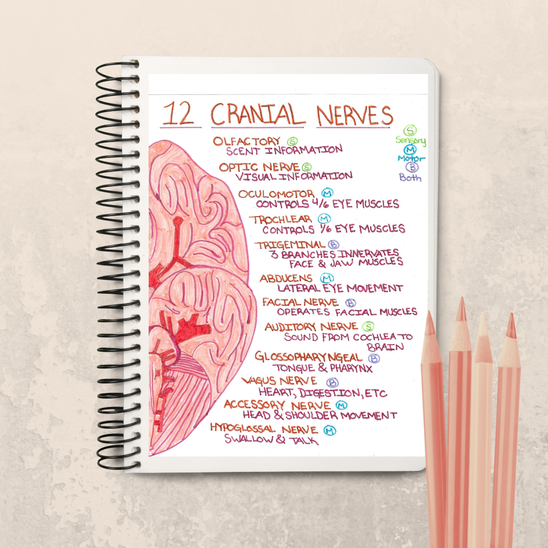 Study – RDHopes.com