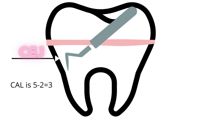 How to Calculate CAL – RDHopes.com